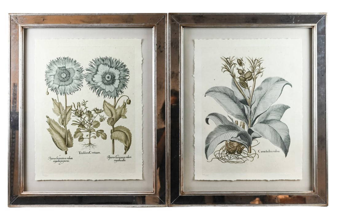 Pair Trowbridge Botanicals In Mirrored Frames Auction