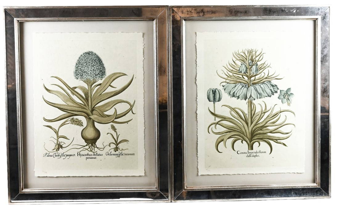 Pair Trowbridge Botanicals In Mirrored Frames Auction