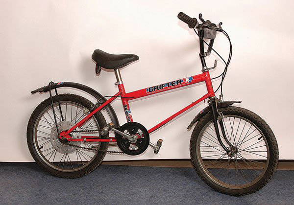 Raleigh Grifter Bike