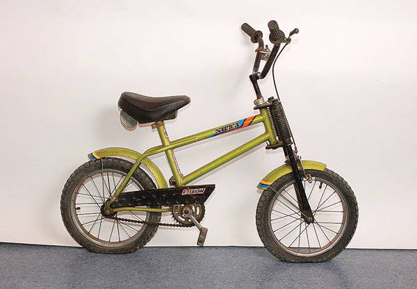 Raleigh Strika Bike