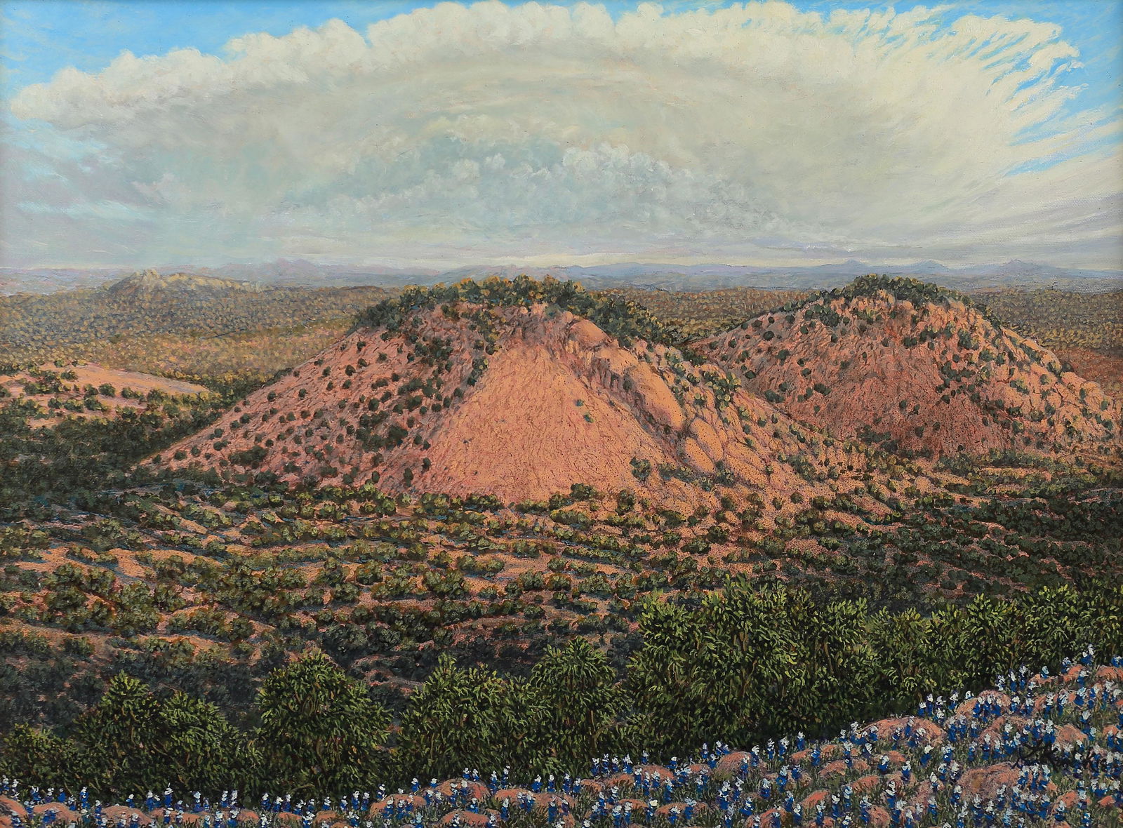 Daniel Kendrick (Am. Bn. 1948-) , Lady Bird's Bluebonnets, 2018 - Oct ...