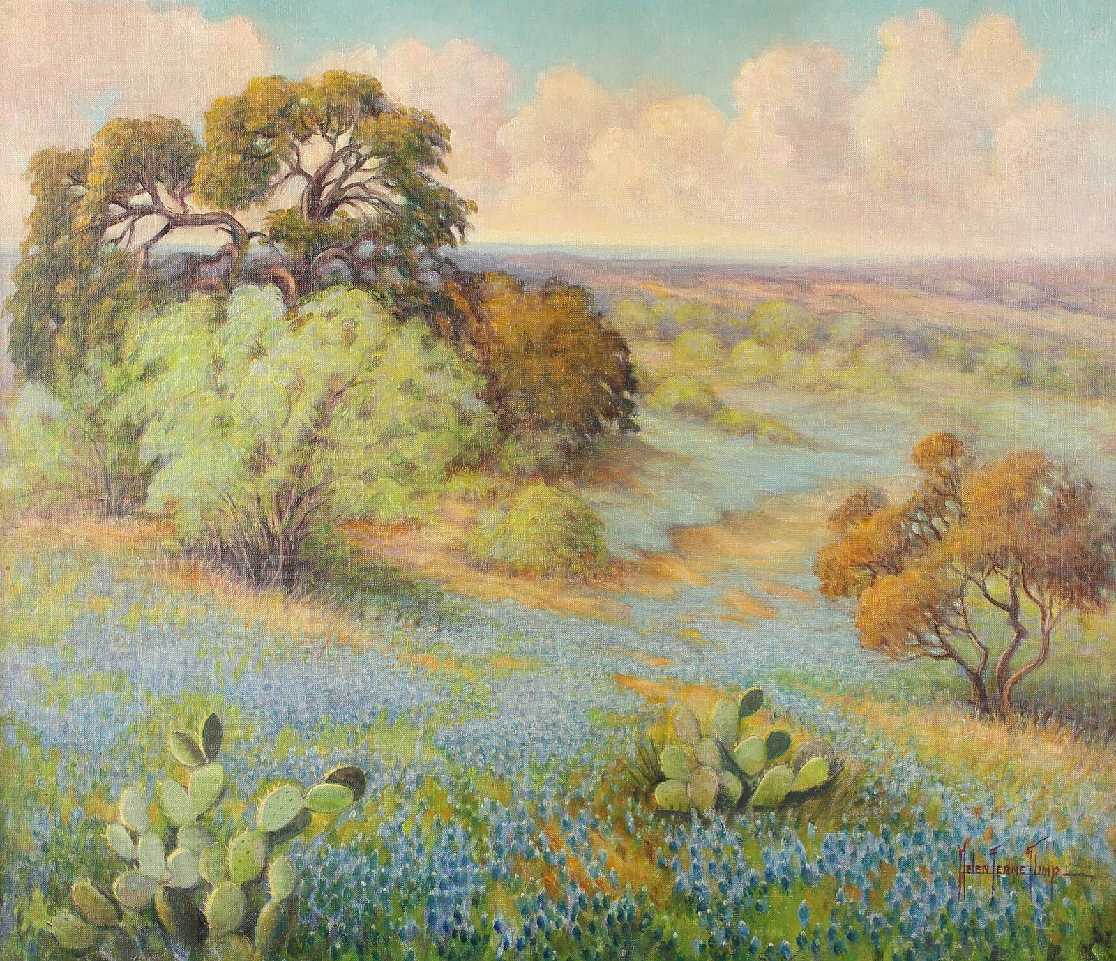 Helen Ferne Slimp (am. 1890 1995), Texas Cactus And Bluebonnets, Oil On ...