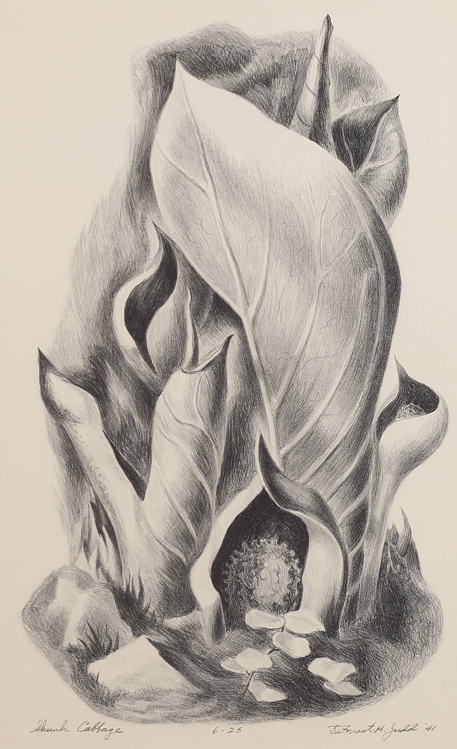 Deforrest Judd (am. 1916-1993), Skunk Cabbage, Ed. 6/25, 1941 ...