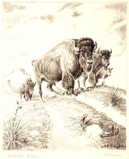 Harold D. Bugbee, Goodnight Buffalo, Lithograph