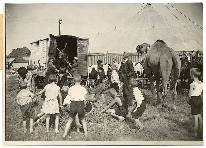 Vintage Original Historical Photo Circus Transportation