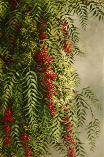 Ellen Francis Burpee Farr (1840 1907 Pasadena, Ca)