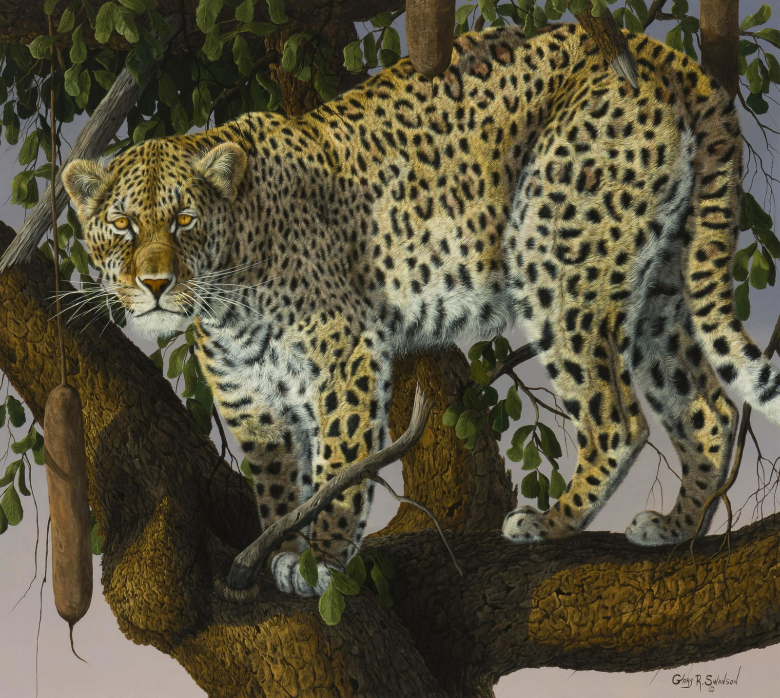 Gary Robert Swanson (1941 2010 Prescott, Az)