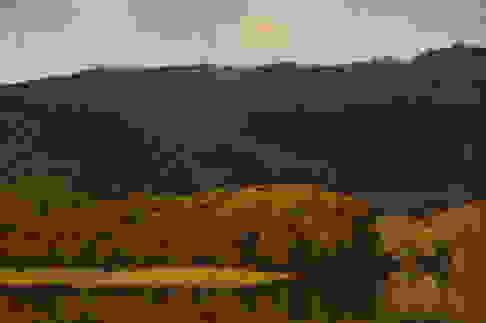 Kim Coulter (b. 20th Century), "clearing, Crystal Springs," 2008, Oil ...