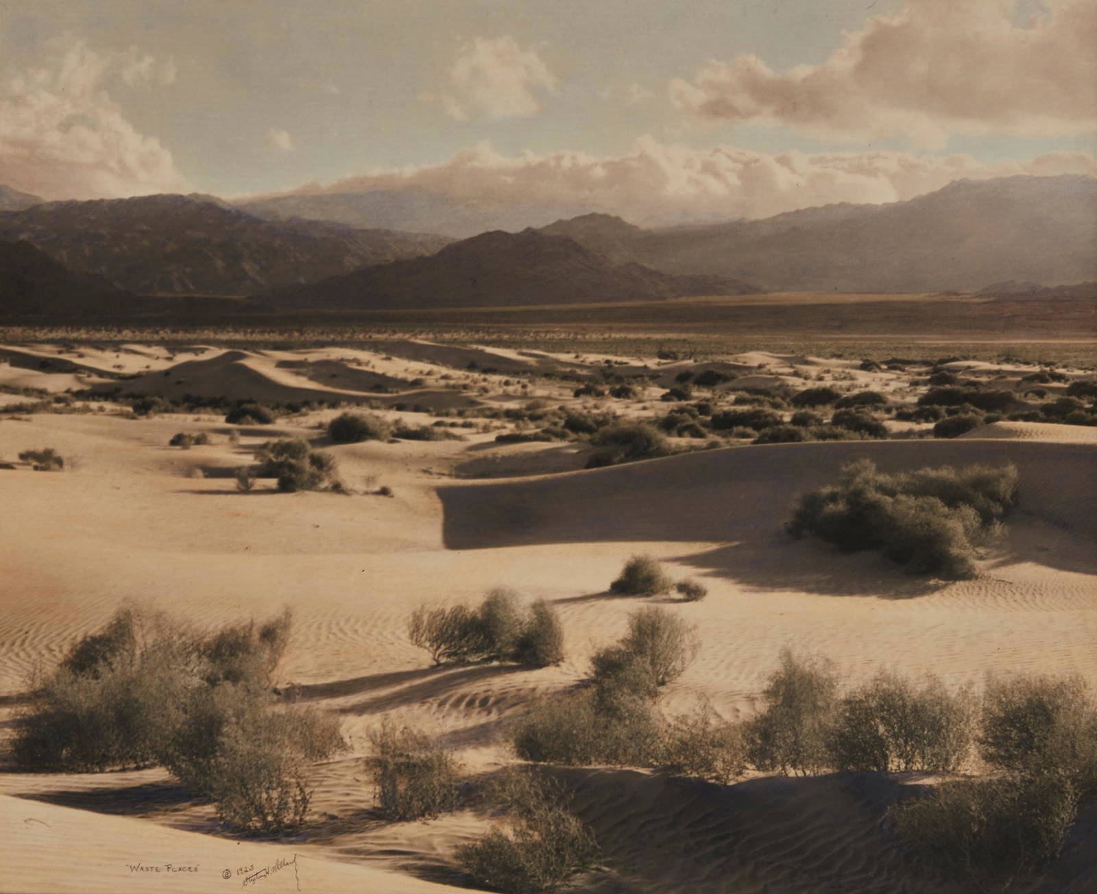 Stephen Hallet Willard (1894-1966), "waste Places," 1923, Photograph ...