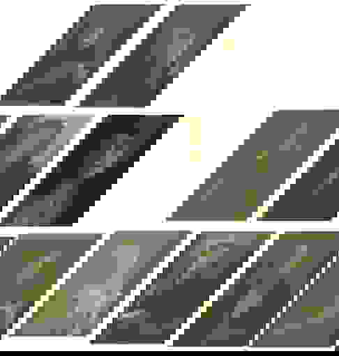 Edward Weston (1886-1958), Portraits Of Enrique (enrica) Jackson, Nine ...