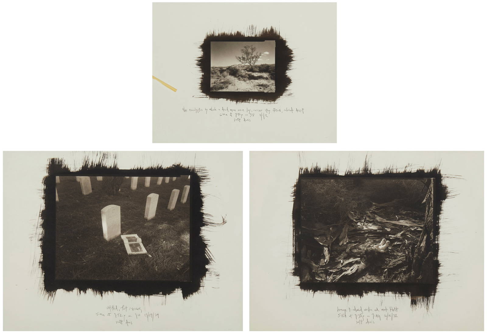 Scott B. Davis (20th Century), Three Works: "the Eucalyptus By Which A ...