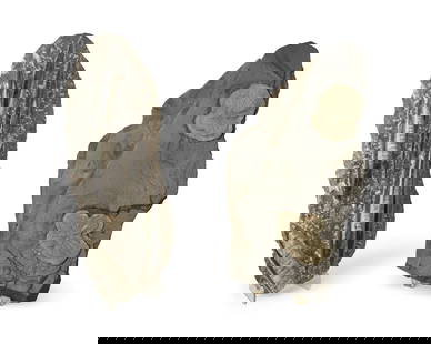 Antique & Vintage Fossils for Sale in Online Auctions