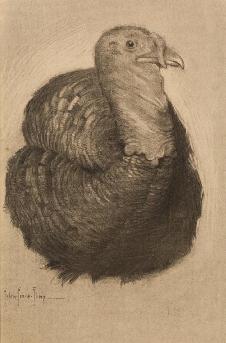 Helen Ferne Slimp (1890-1995), Portrait of a Turkey,