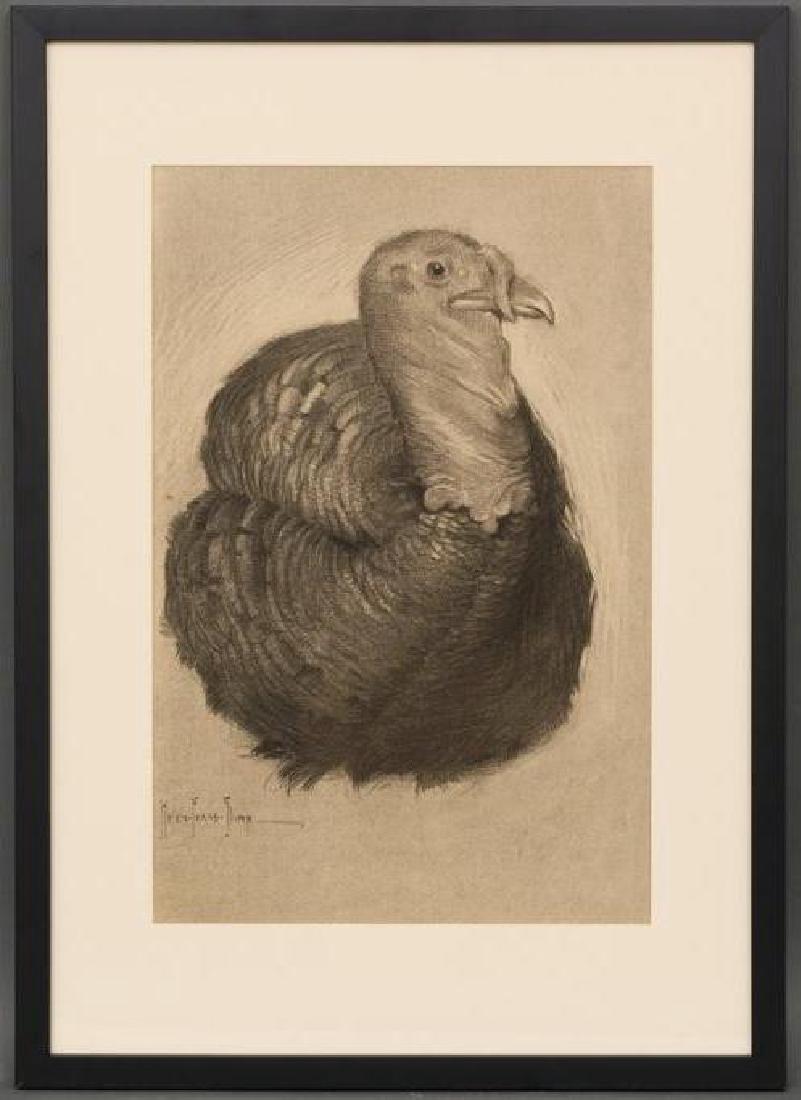 Helen Ferne Slimp (1890-1995), Portrait of a Turkey,