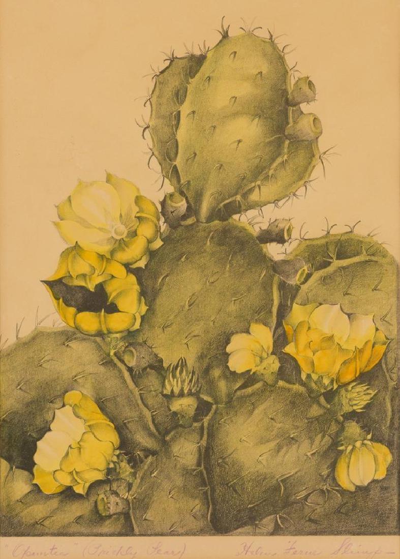 Helen Ferne Slimp (1890-1995), Blooming Cactus,