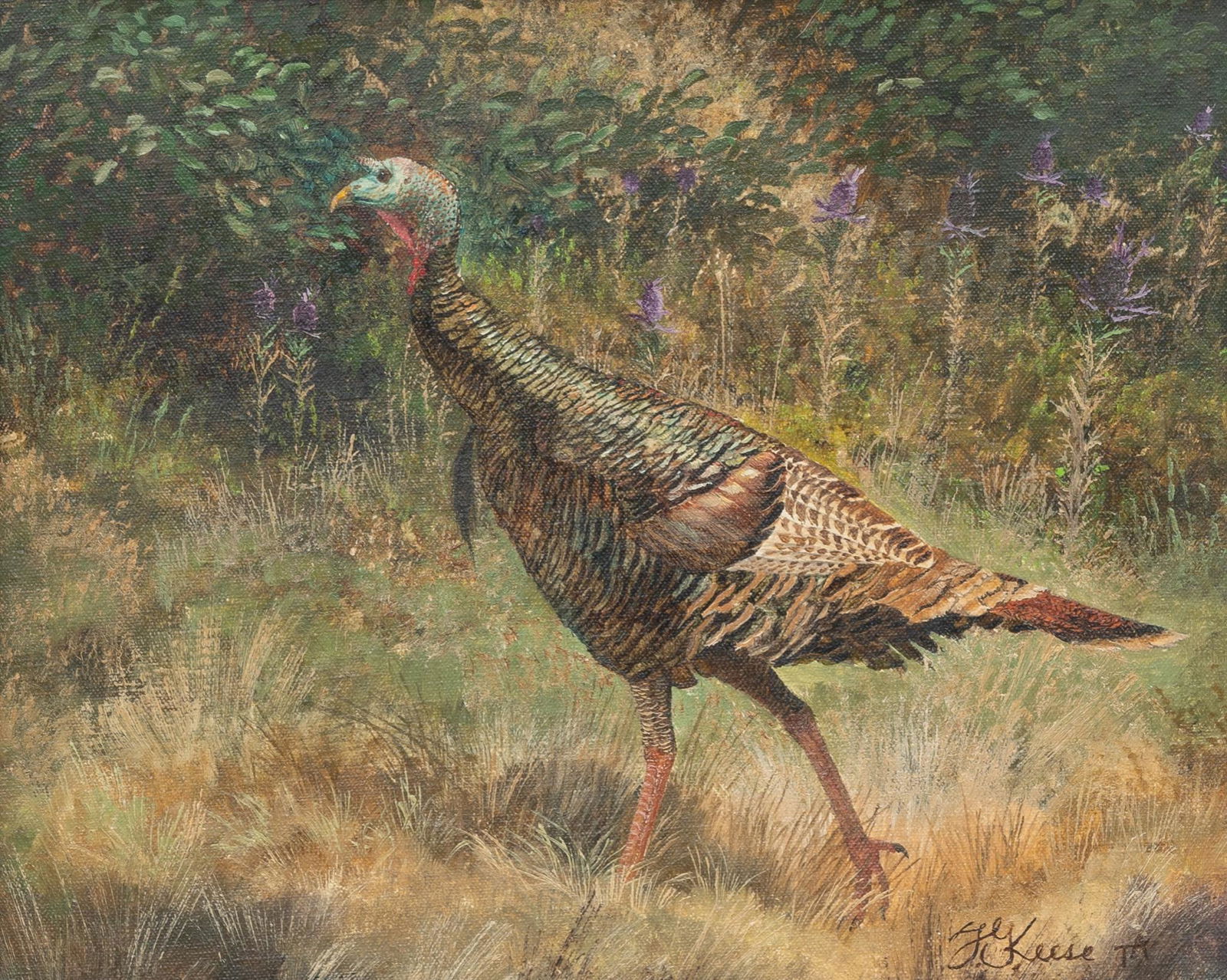 Travis Keese (b.1932), "Young Gobbler", oil on canvas, - Jun 27, 2020 ...