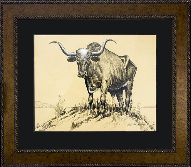 Bob Dale, Longhorn, charcoal on paper