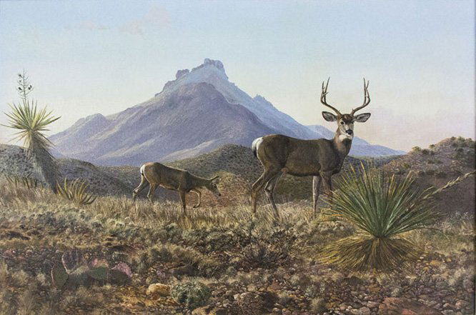 Travis Keese, Deer with Ocotillo, oil on canvas - Jun 08, 2014 | Vogt ...
