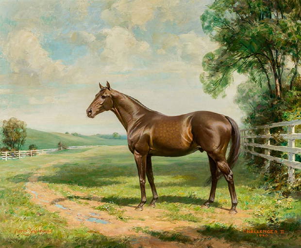 Martin Stainforth Challenger Ii