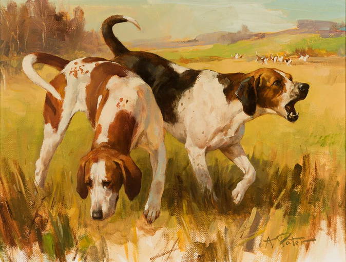 Andre Pater Hounds On Scent