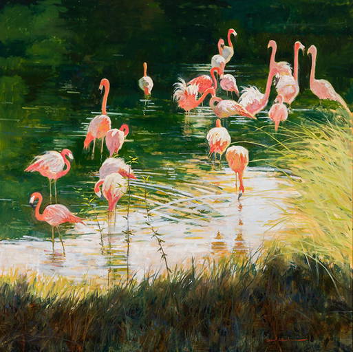 Larry Dodd Wheeler Flamingos