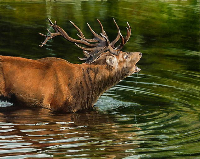 Julie Ann Bull - Autumn Glory - Nov 21, 2021 | The Sporting Art Auction ...