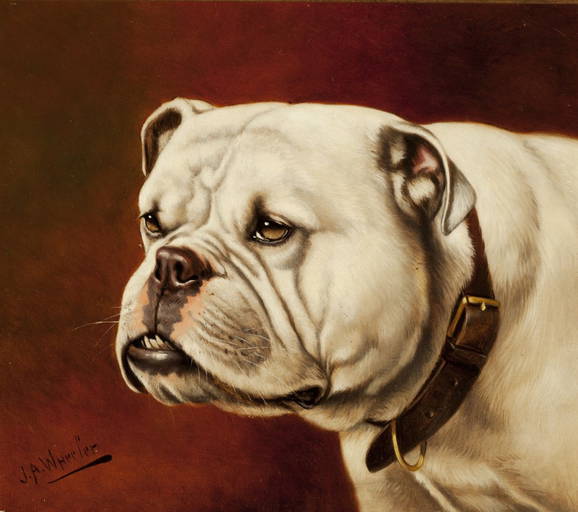 John Alfred Wheeler Winston