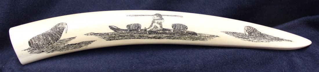 LEGAL NATIVE INUIT HUNT ALASKAN WALRUS TUSK SCRIMSHAW