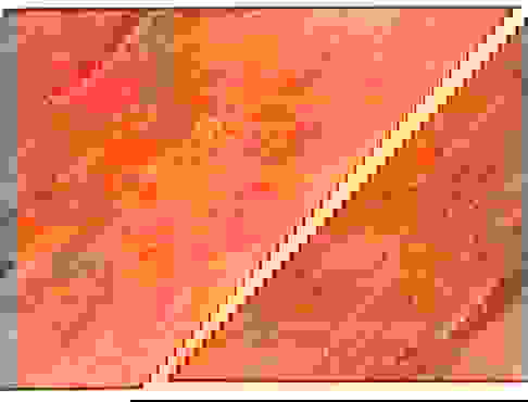 Wayne Jenkins (20th C) Usa, Large Oil On Canvas Auction