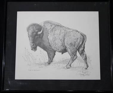Pencil Drawing, Lord Of The Plains, Artist Dan Brewer