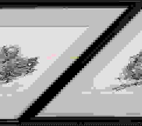 Christopher Inglis Stebly (american/mississippi) Auction