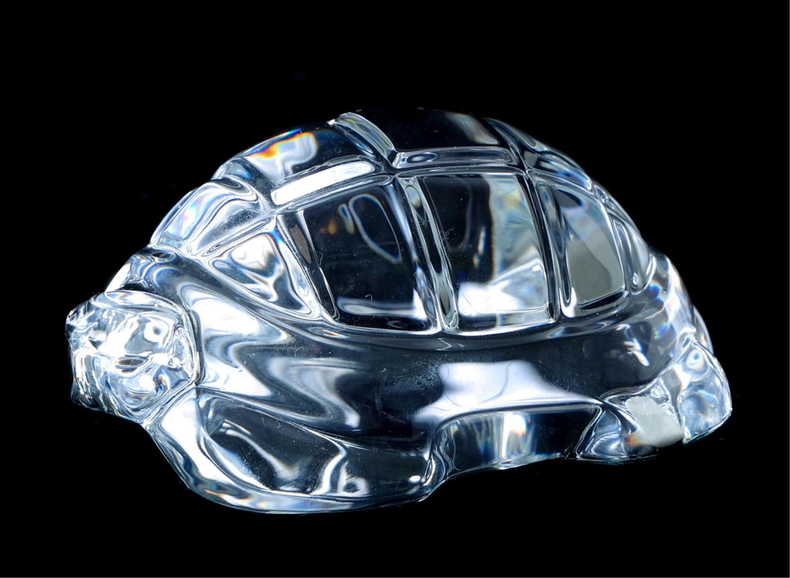 Baccarat Crystal Turtle Figurine - May 18, 2021 | Gallery 63 in GA