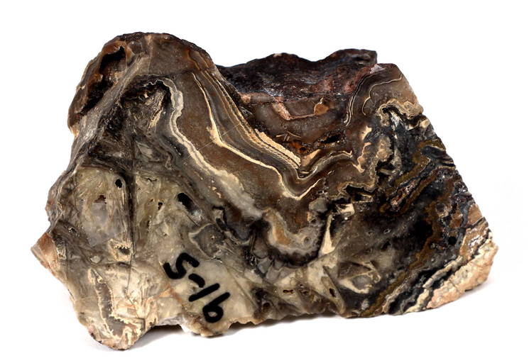 Sleeper Mine High Grade Gold Specimen [154997]