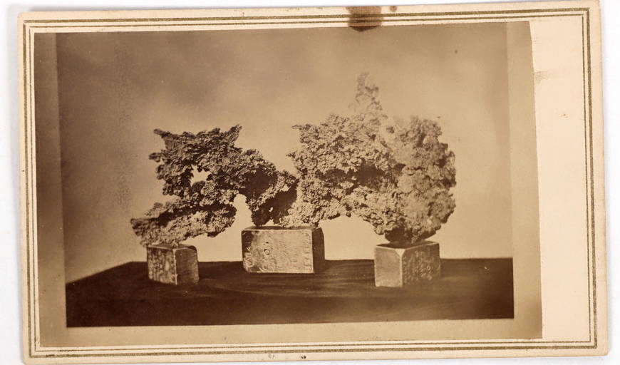 Original CDV of the Famous Fricot Gold Nugget & Three California Gold ...