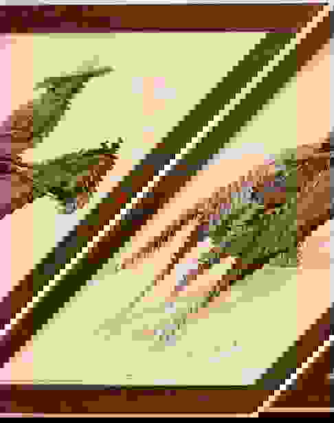 Frederic Remington Print "old Ramon" [168682] Auction