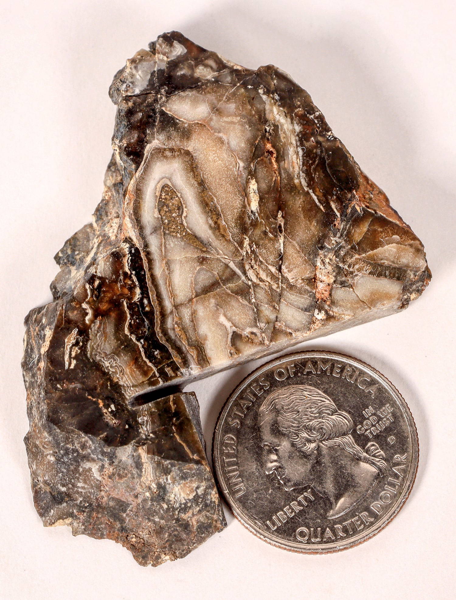 Sleeper Mine Ore Specimen, Native Gold [173792] Auction