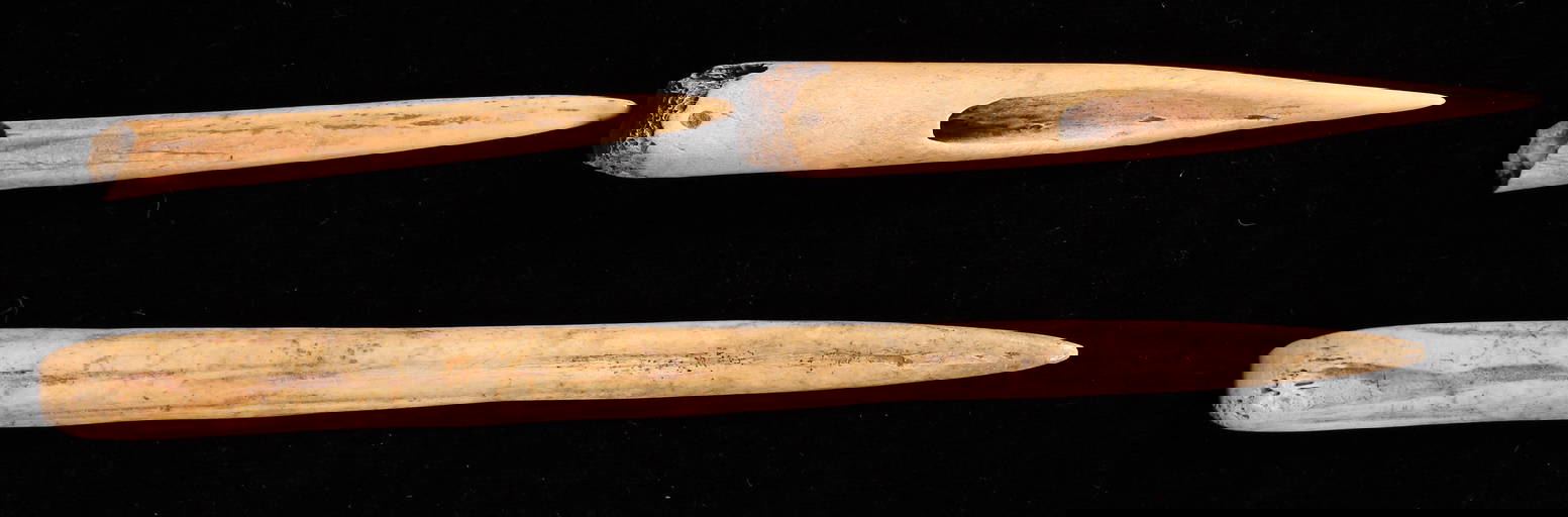 Bone Awl Artifacts (3) [178129]