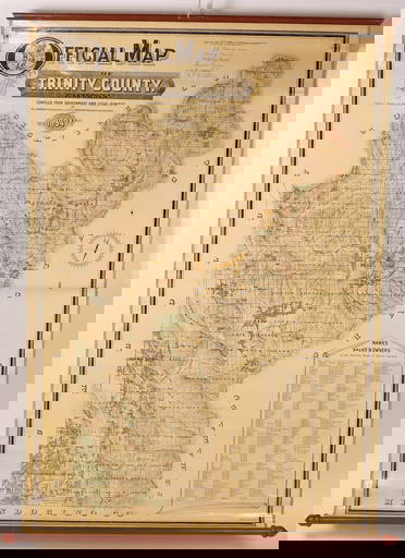 Trinity County Mines (wall) Map, 1894, Cowden, Johnson [177508]
