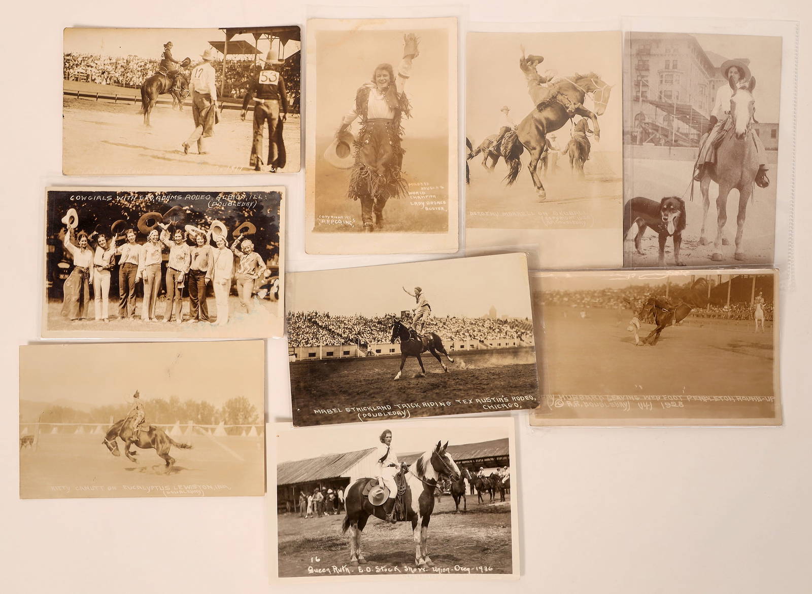 Lady Bronc And Trick Riders (9) [183279] Auction