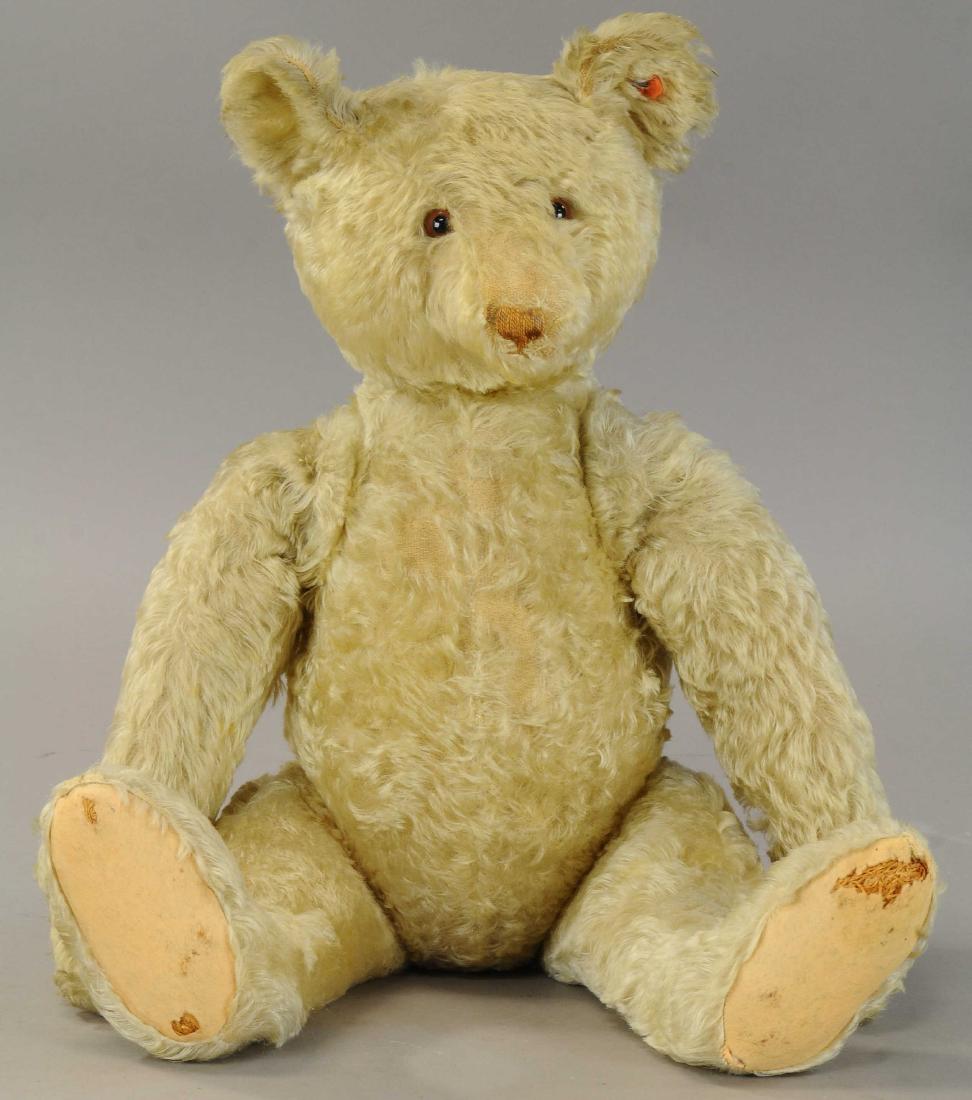 LARGE STEIFF TEDDY