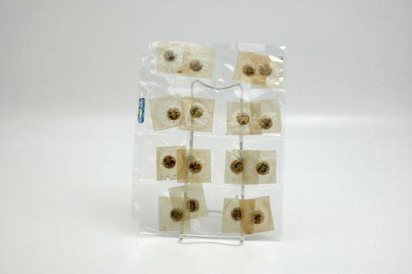 Movie Star Buttons, Quaker Oats Premiums