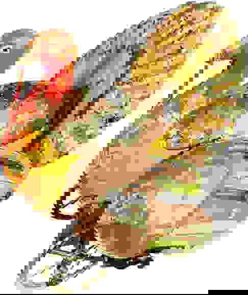 Gobbling Hand Painted Turkey On Wheels Auction