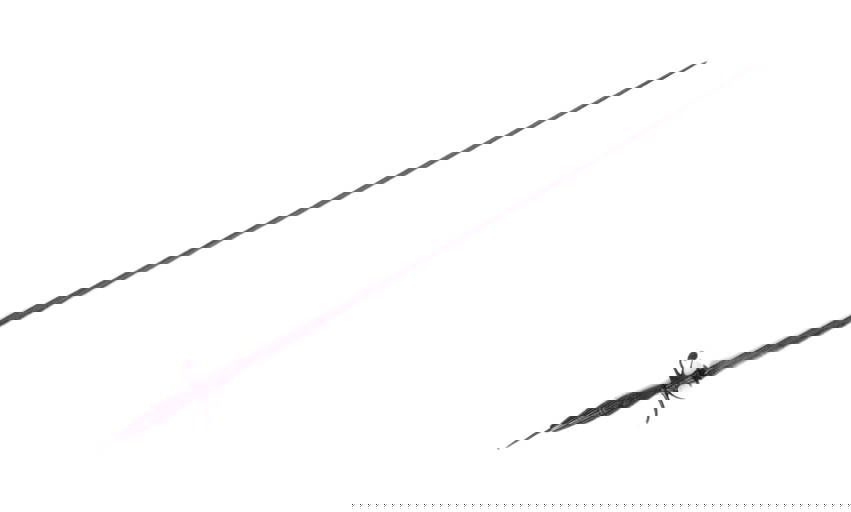 18th Century Middle Eastern Style Sword