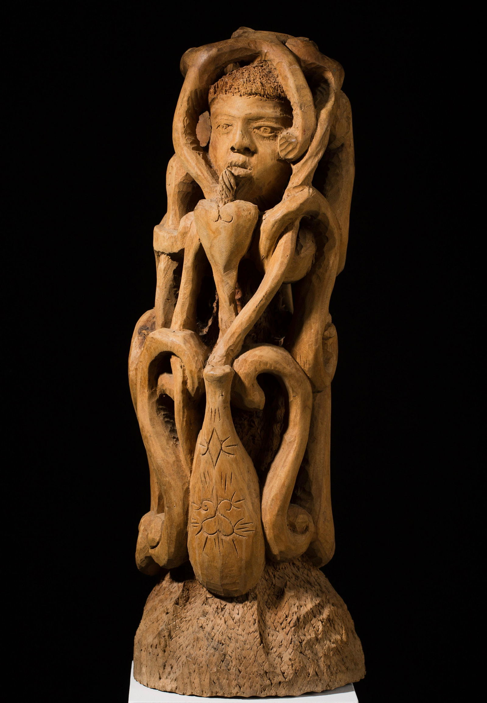 Nacius Joseph (haitian/haiti) Loa In Tree Vines