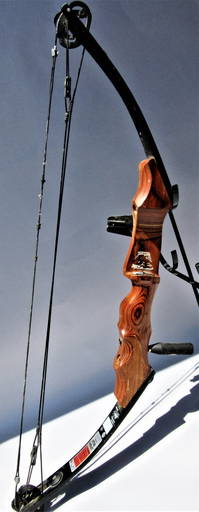 Martin Bobcat Compound Bow