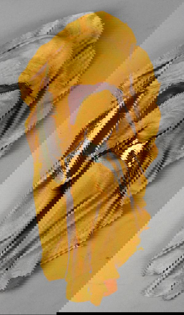 Randy & Renee Aitken Pnw Native American Dream Mask Auction