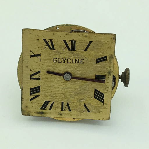 Glycine Watch Co. Swiss 17 Jewel Unadjusted Watch Movement And Brushed ...