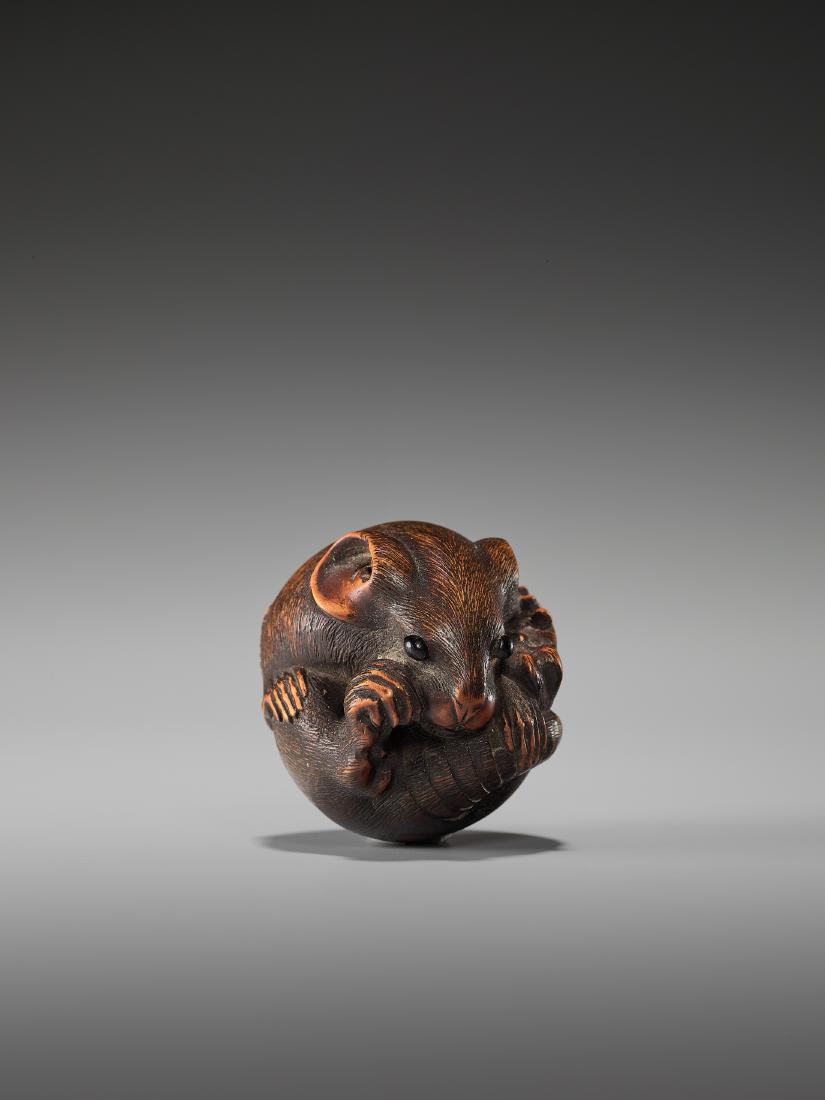 A LARGE WOOD NETSUKE OF A COILED RAT BY MASANAO