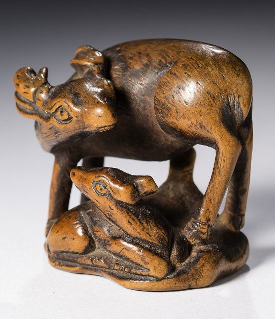 Shika Deer And Offspring