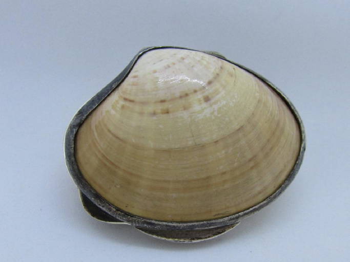 Marked 800 Sterling Silver Clam Shell Ring Box
